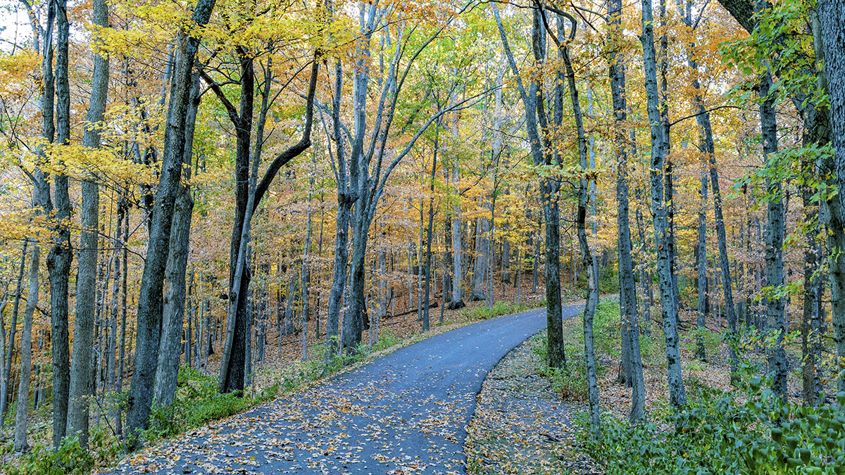 Warner Parks | The Cultural Landscape Foundation