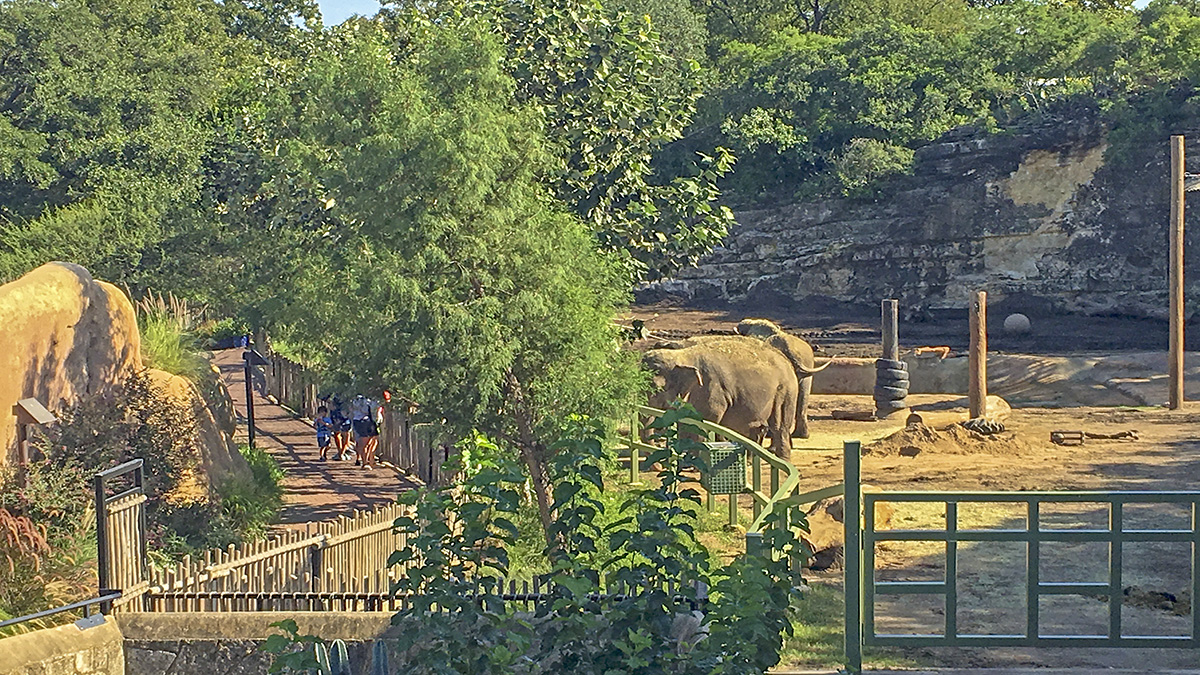 San Antonio Zoo | The Cultural Landscape Foundation