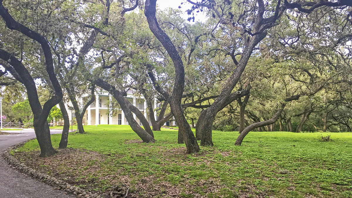 Denman Estate Park | The Cultural Landscape Foundation