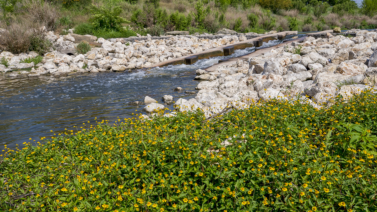 Mission Reach | The Cultural Landscape Foundation