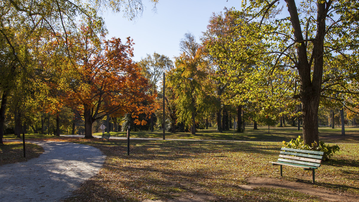 Byrd Park | The Cultural Landscape Foundation