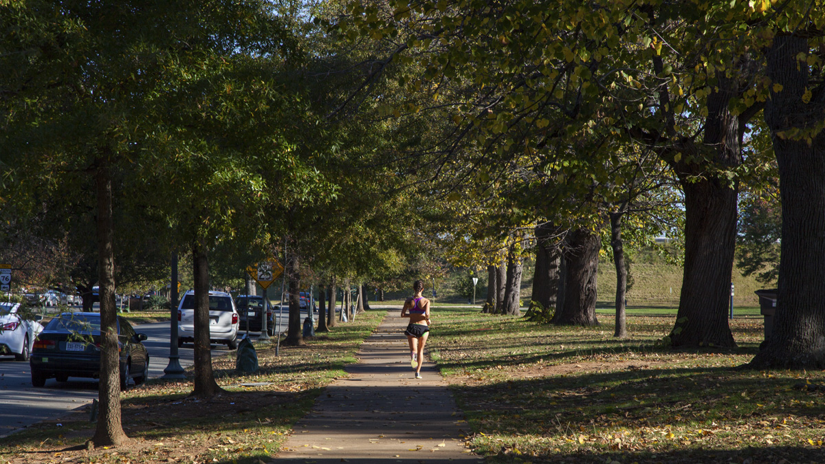 Byrd Park | The Cultural Landscape Foundation