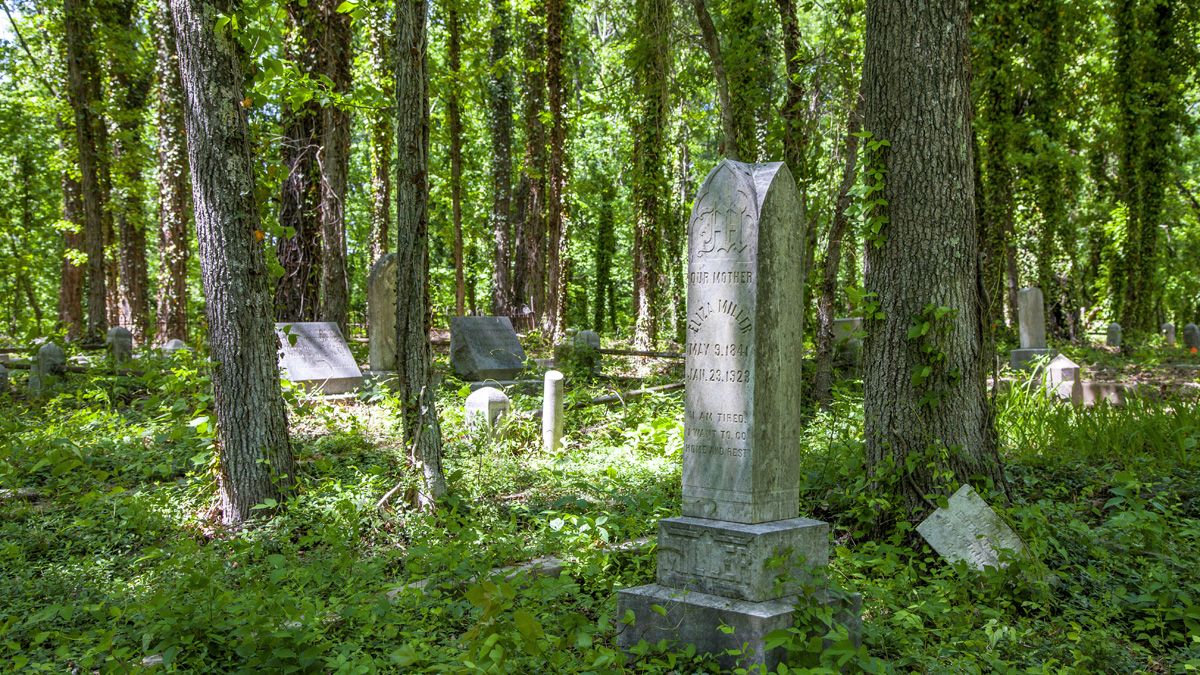 Evergreen Cemetery - VA | The Cultural Landscape Foundation