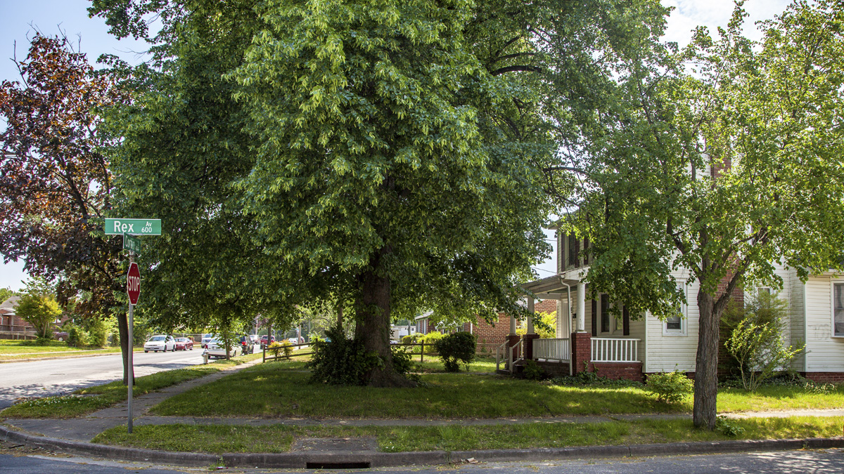 Ginter Park Historic District | The Cultural Landscape Foundation