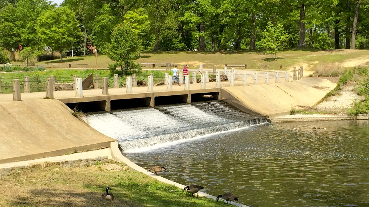 Joseph Bryan Park | The Cultural Landscape Foundation