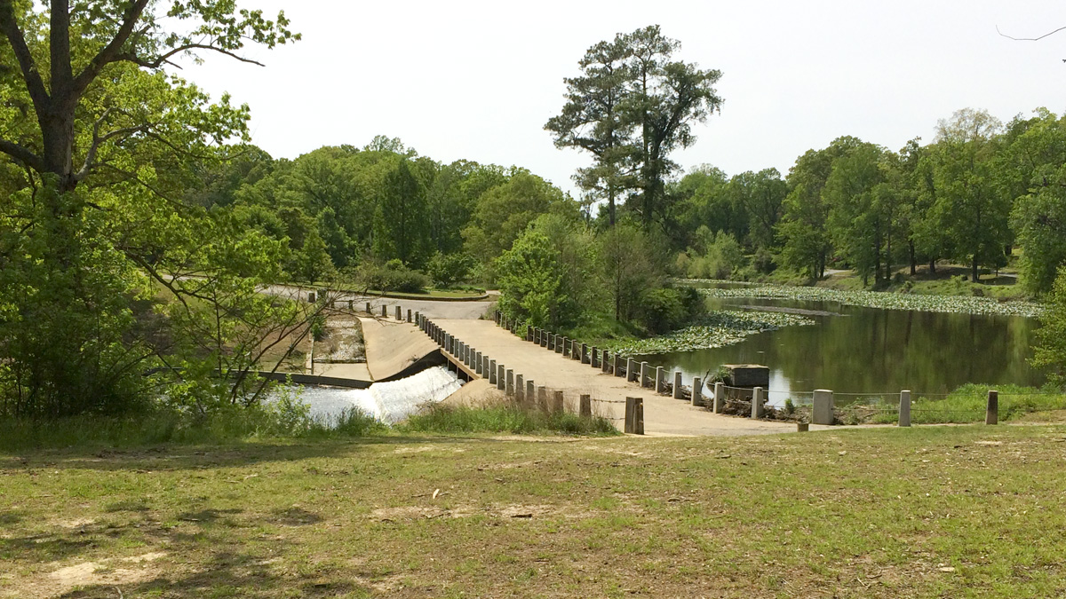 Joseph Bryan Park | The Cultural Landscape Foundation