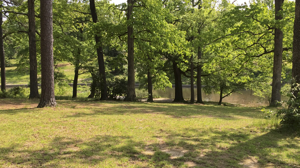 Joseph Bryan Park | The Cultural Landscape Foundation