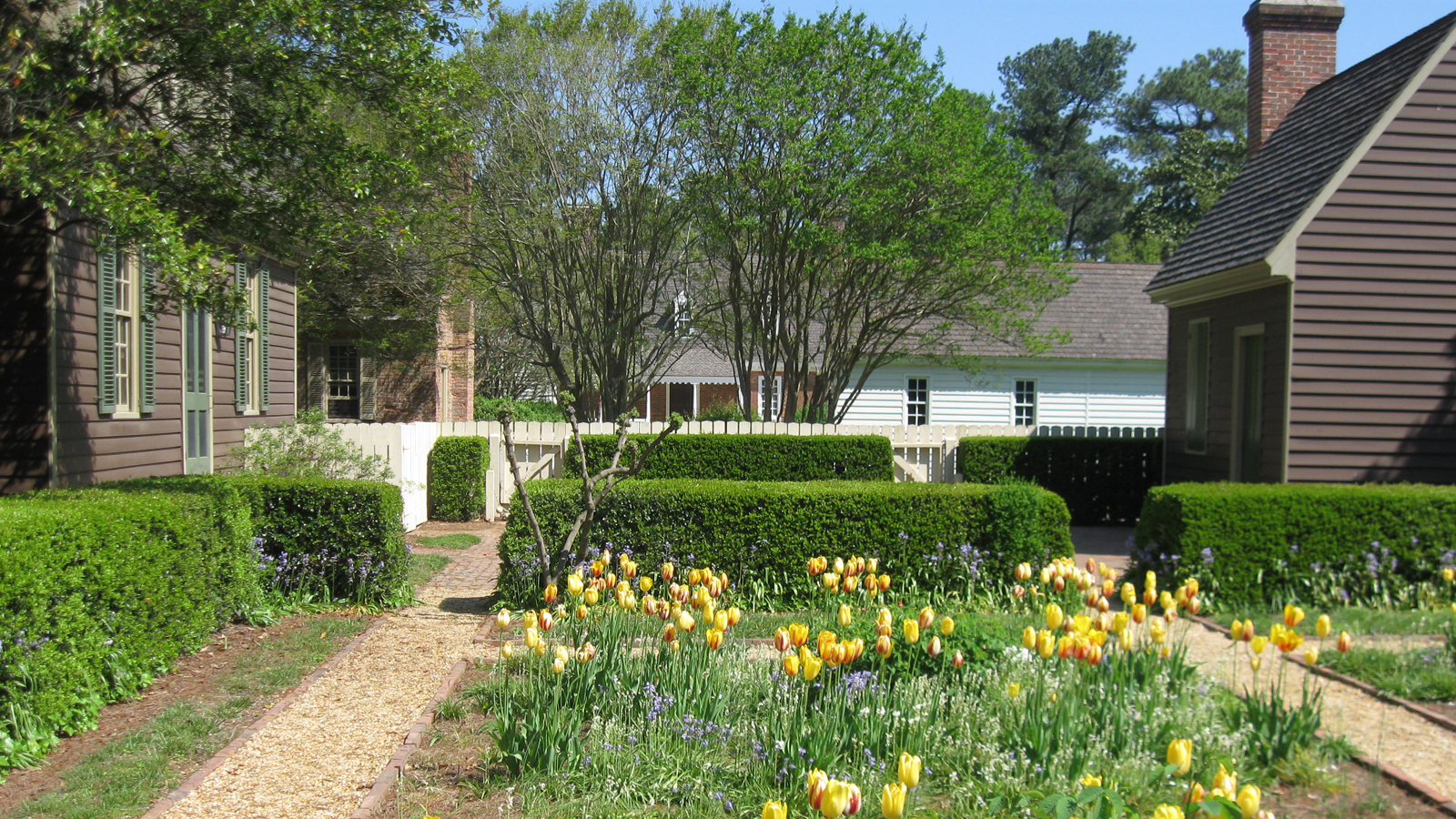 Images Of Colonial Virginia In The Cultural Landscape