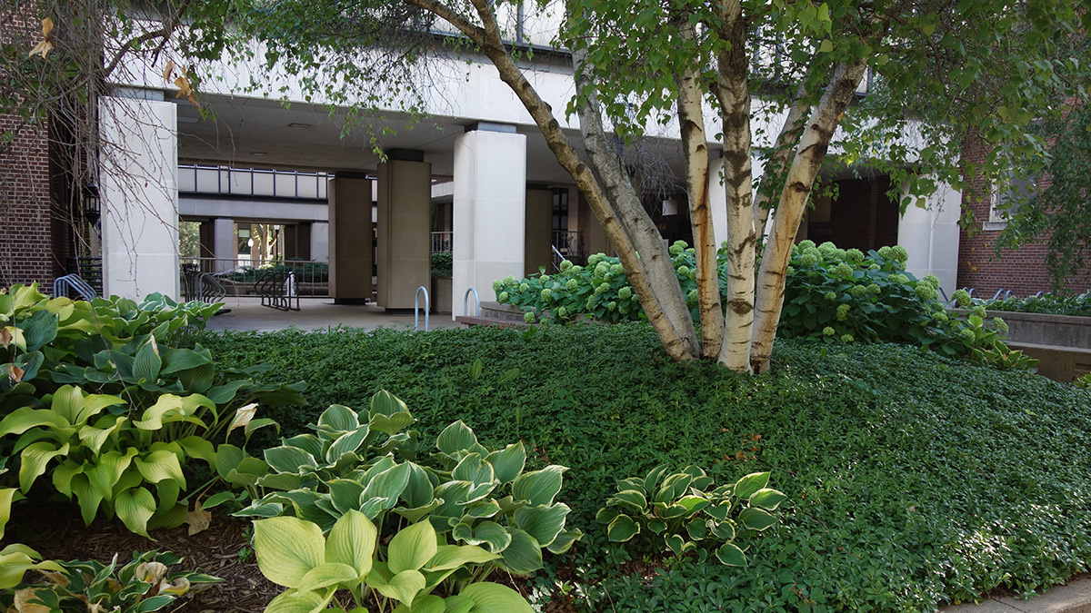 Vincent Murphy Courtyard | The Cultural Landscape Foundation