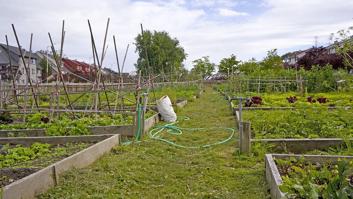 NewHolly | The Cultural Landscape Foundation