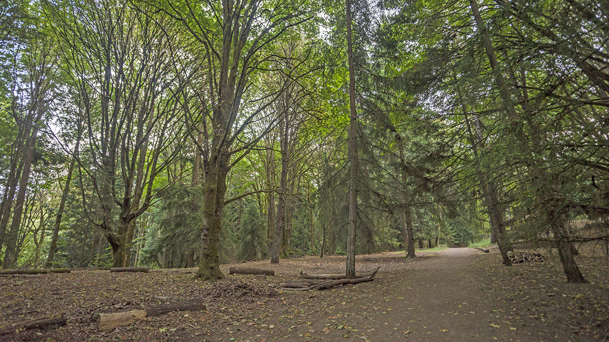 Woodland Park | The Cultural Landscape Foundation