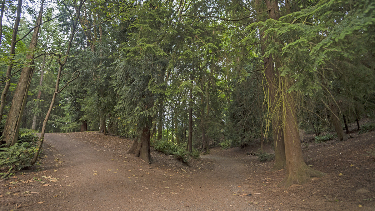 Woodland Park | The Cultural Landscape Foundation