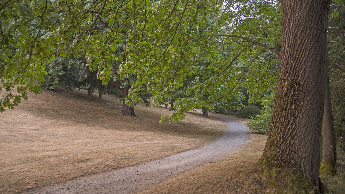 Woodland Park | The Cultural Landscape Foundation