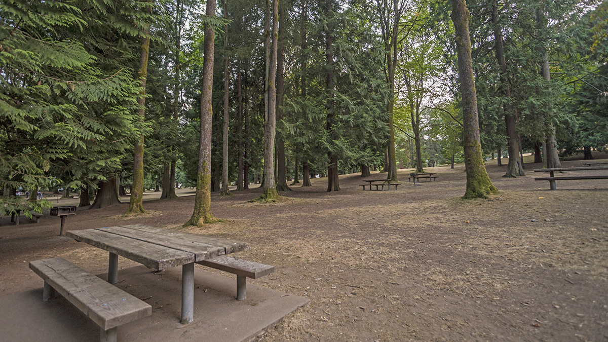 Woodland Park | The Cultural Landscape Foundation