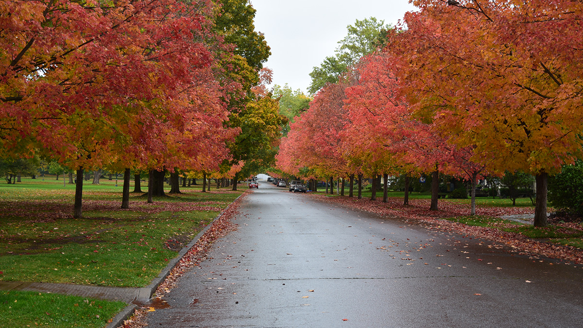 Park System of Spokane | The Cultural Landscape Foundation