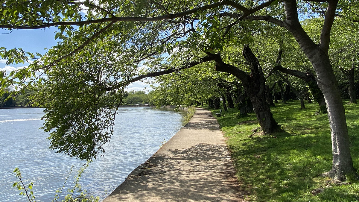 Tidal Basin | The Cultural Landscape Foundation