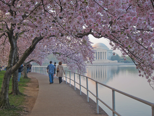 West Potomac Park | The Cultural Landscape Foundation