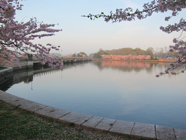 West Potomac Park | The Cultural Landscape Foundation